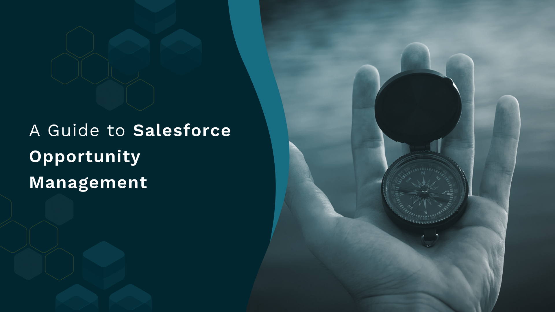 A Guide to Salesforce Opportunity Management - Nektar.ai