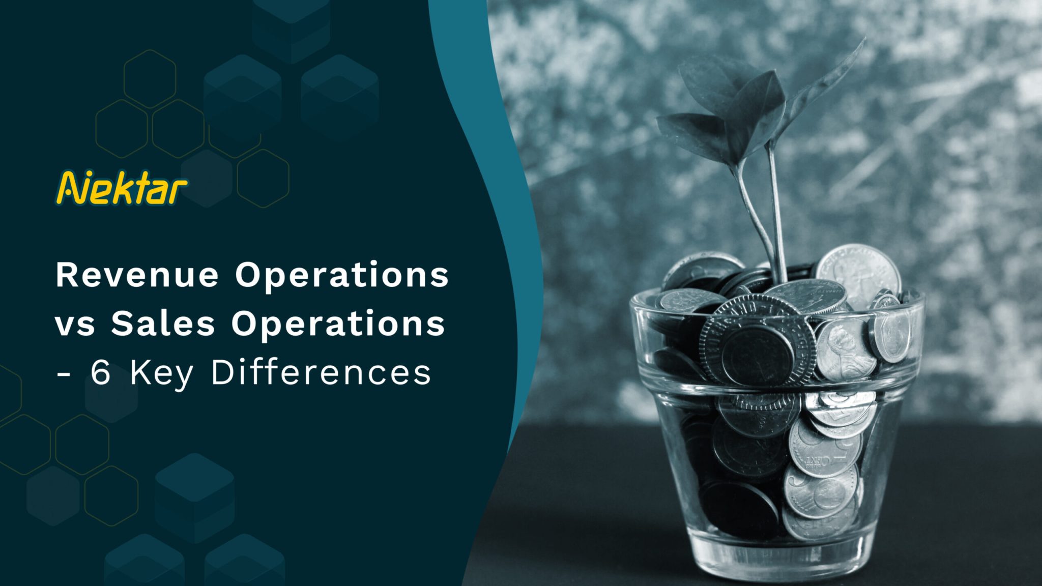 Revenue Operations vs Sales Operations – 6 Key Differences in 2025 ...